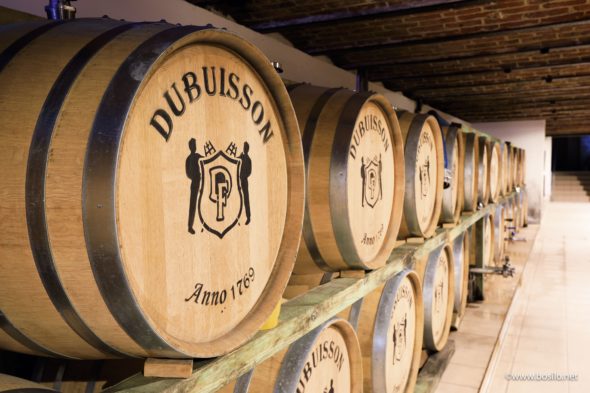 Brasserie Dubuisson et Beerstorium - une expérience unique